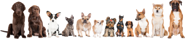 Pricing – The Poo Crew